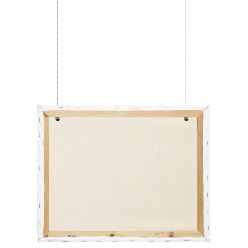 Canvas Hanging Ceiling | Picture Hanging Company UK